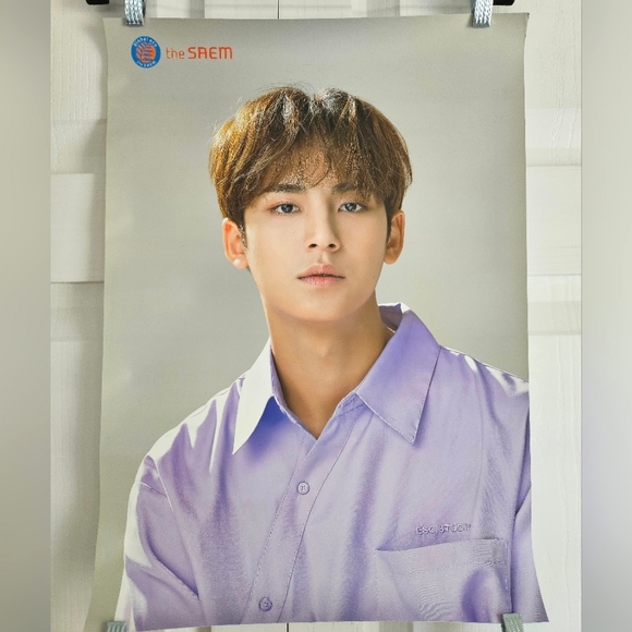 Pledis Entertainment | Art | Seventeen X The Saem Mingyu Poster | Poshmark